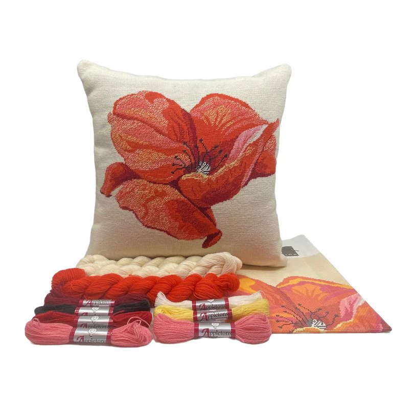 Flanders Needlepoint Kits - Flanders Poppy (Cream) - HM Nabavian